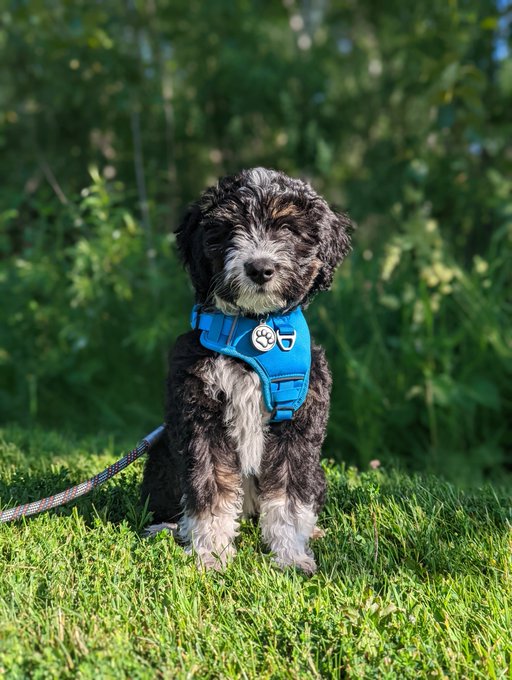 TW Pornstars - Hi, It's Kayla:). Pictures and videos from Twitter. Page 10