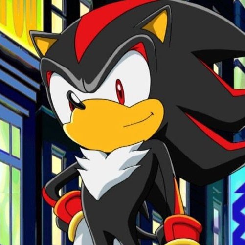 Shadow The Hedgehog Smiling Sonic X