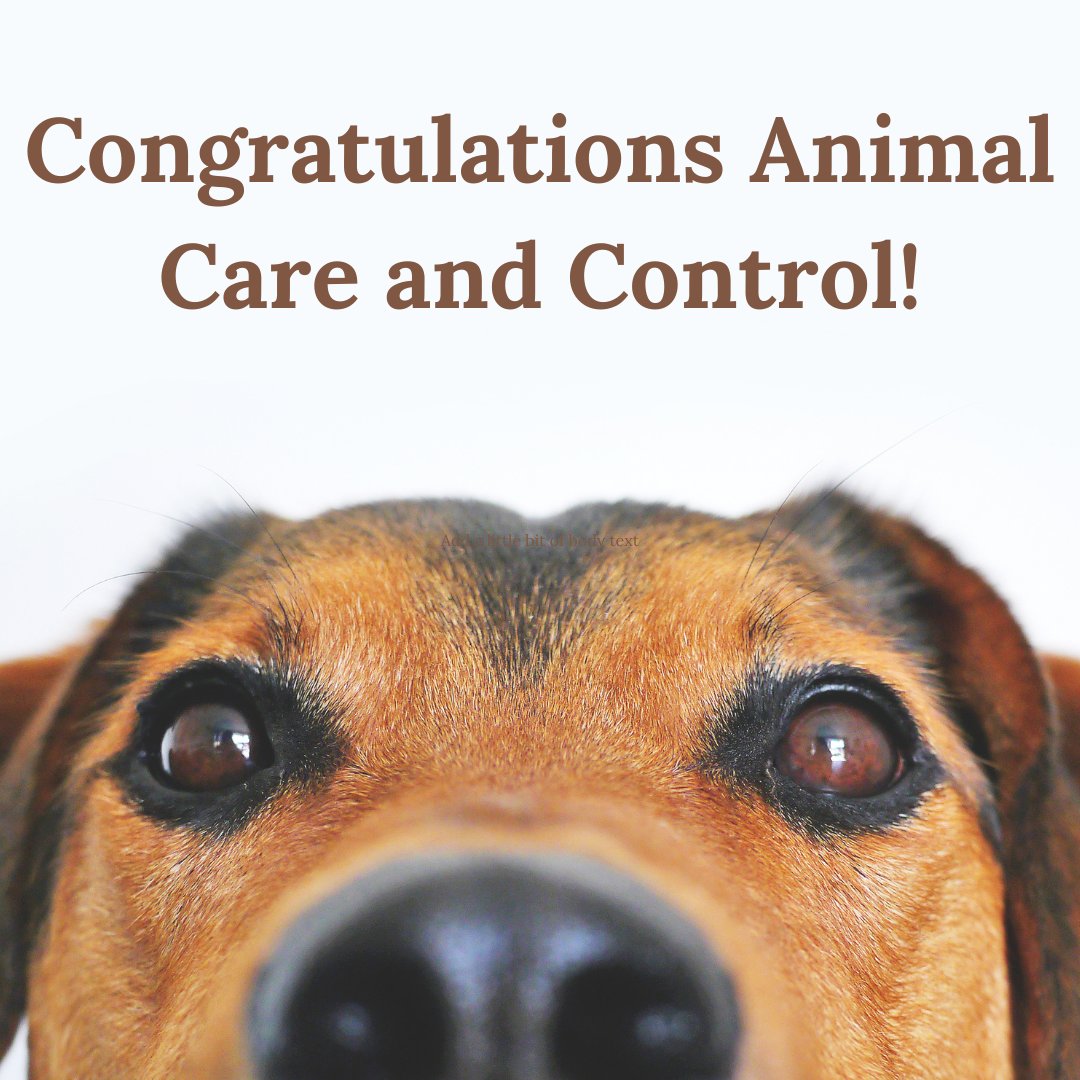 Congratulations Animal