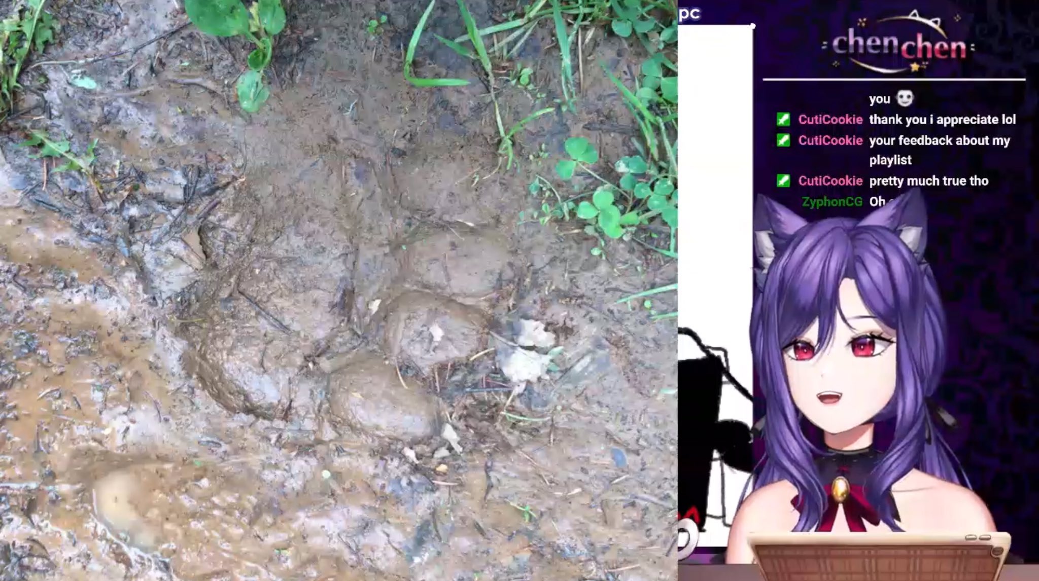 chenchen | Vartist on Twitter: "I’m going away for a couple of days! Hopefully no bears this ...