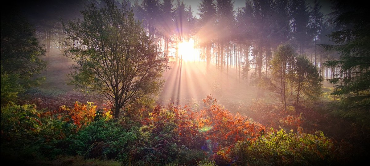 photos_by_caraさんのイラストまとめ