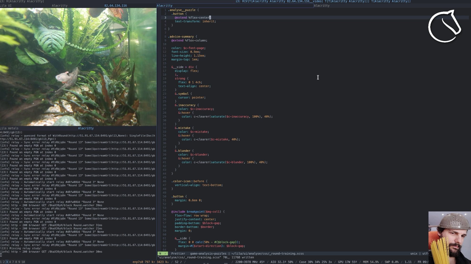 Lichess.org on Twitter: "You can now witness Lichess in the making! Thibault is coding live at ...