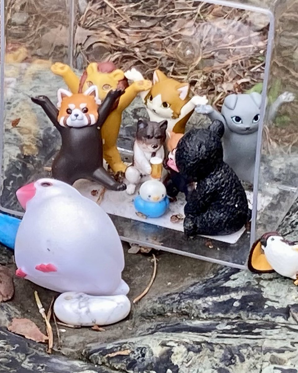 Harada Hideo(@hcc_hh) - Twilog