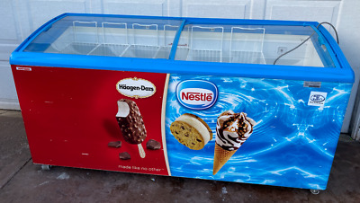 Nestle Ice Cream Fridge Outlet Collection | www.matfink.com.mx