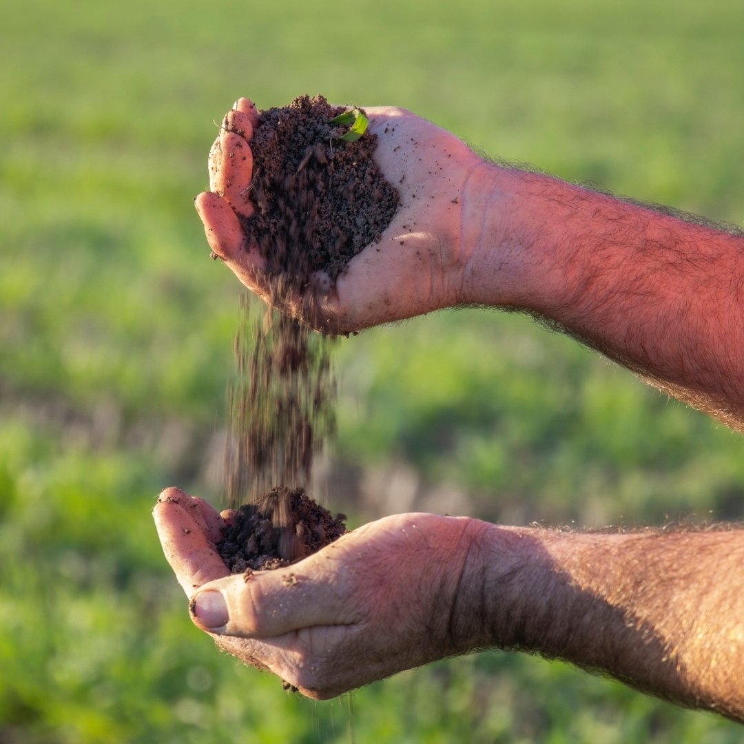 Regenerative Grazing Principles | RCS Australia