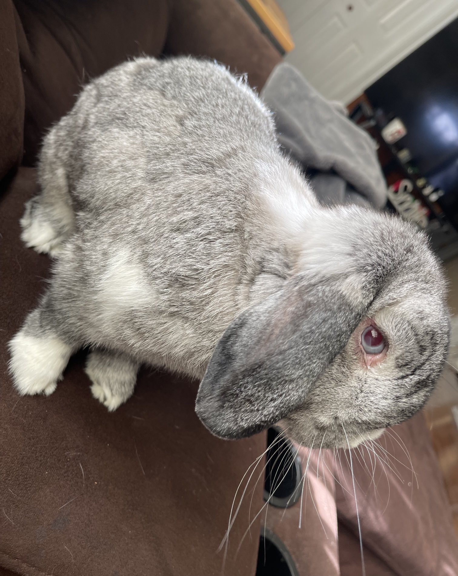 TW Pornstars - Amy Kitty NJ 🌸 ONLYFANS & MORE . Twitter. Beaker Baby ...