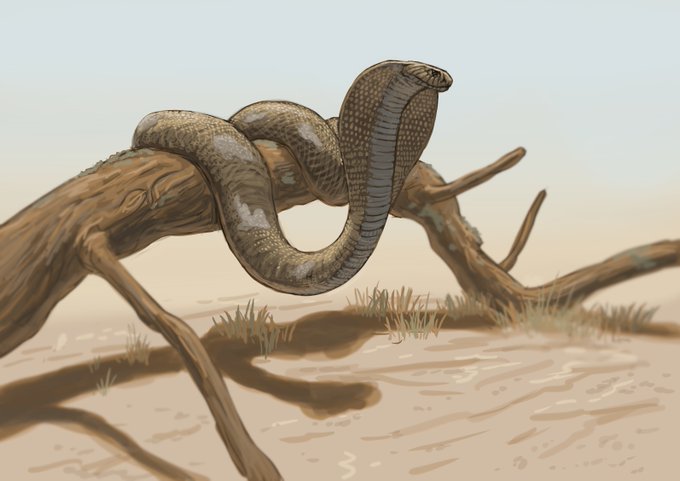 Joschua Knüppe (@JoschuaKnuppe) さんのイラスト・マンガ作品まとめ (610 件) - Twoucan