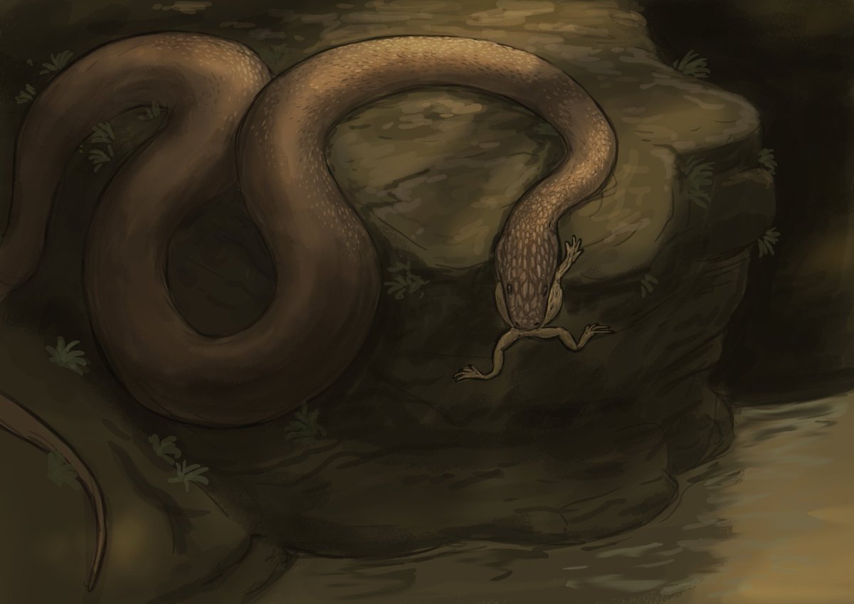 Joschua Knüppe (@JoschuaKnuppe) さんのイラスト・マンガ作品まとめ (597 件) - Twoucan