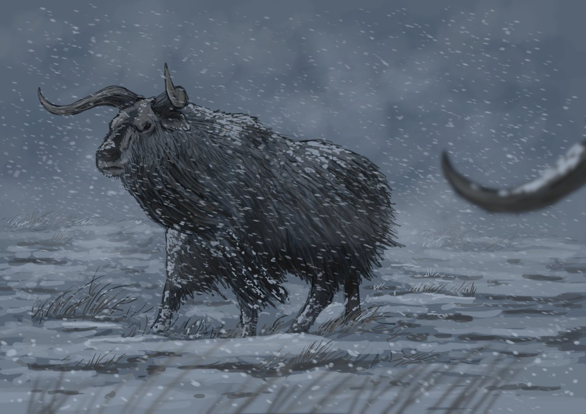 Joschua Knüppe (@JoschuaKnuppe) さんのイラスト・マンガ作品まとめ (597 件) - Twoucan