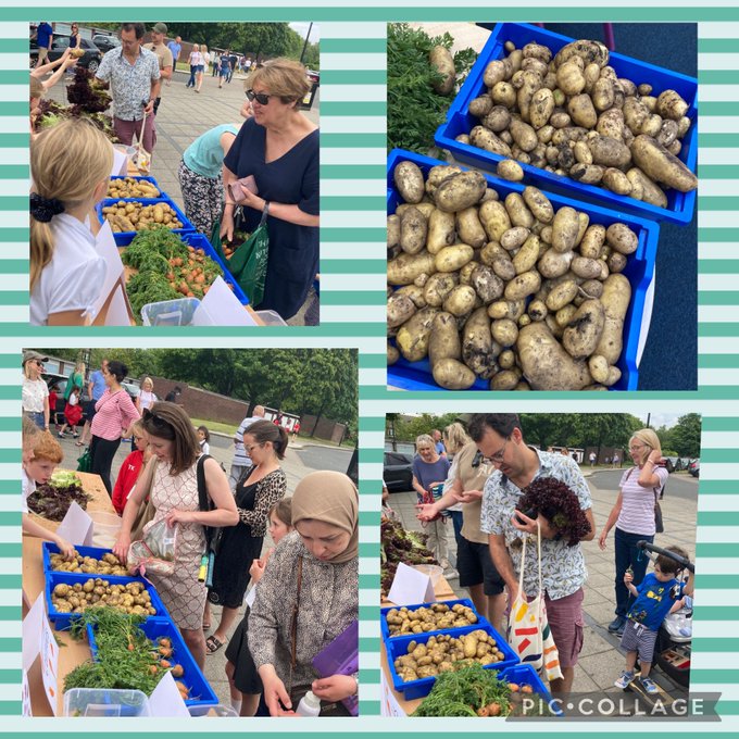 Welcome to Gosforth Schools Trust