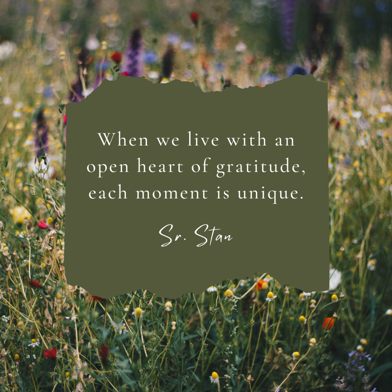 Sr Stan Quotes
