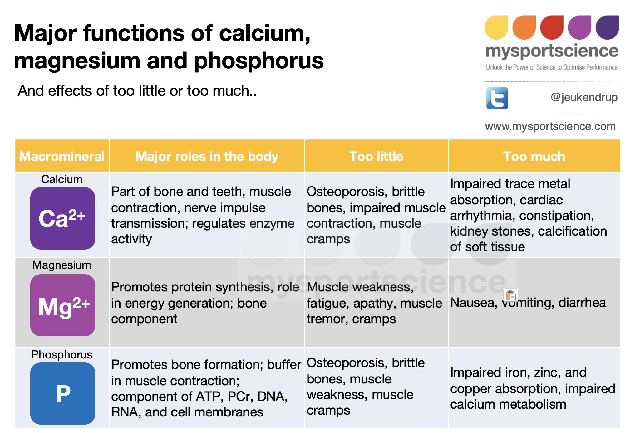Function Of Calcium In Body