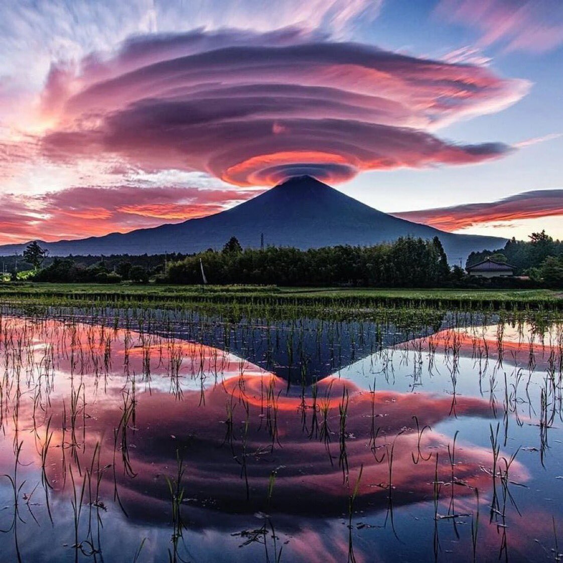 Mount Fuji Sunset