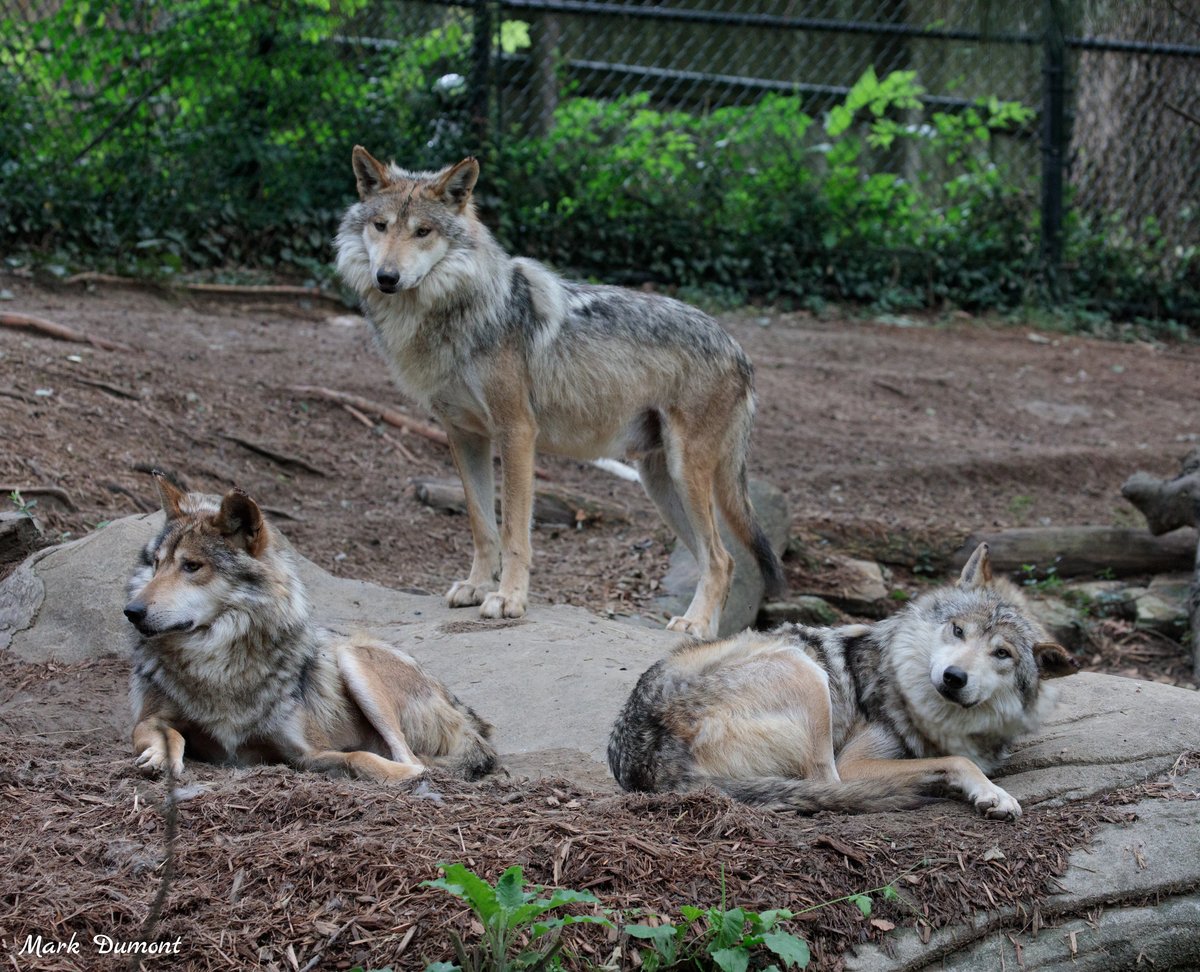 Cincinnati Zoo & Botanical Garden – Cincinnati Cares