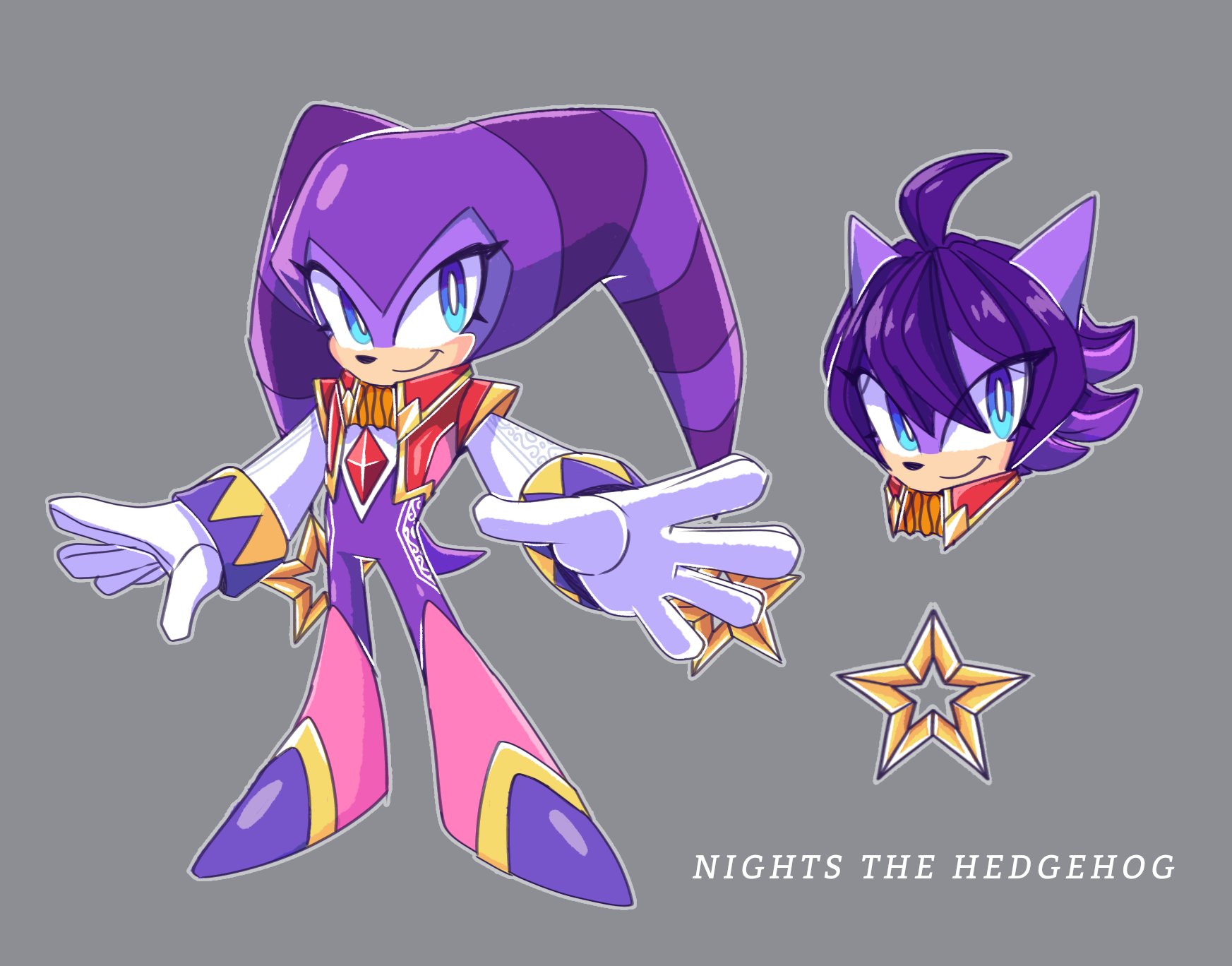 Sonic Riders Nights