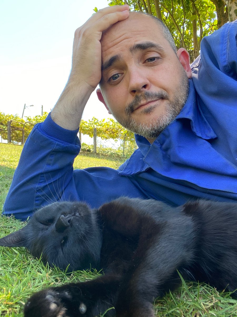 Ricardo Villa Bellosta, Ph.D. (@RVillaBellosta) / Posts / X