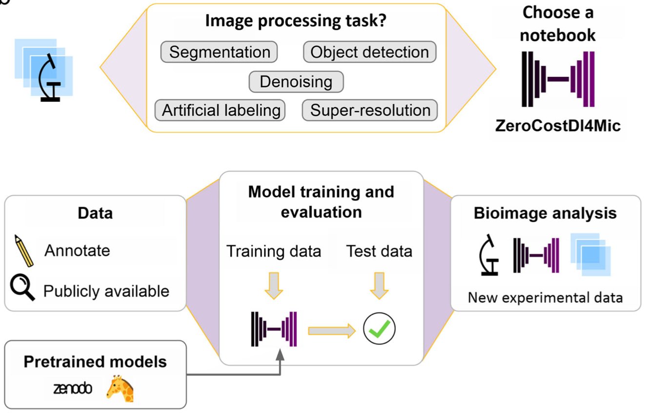 Stephan Uphoff (@stephan_uphoff) / Twitter