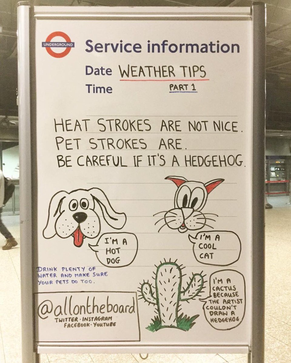 During this hot spell of weather let’s look after our pets and also ...