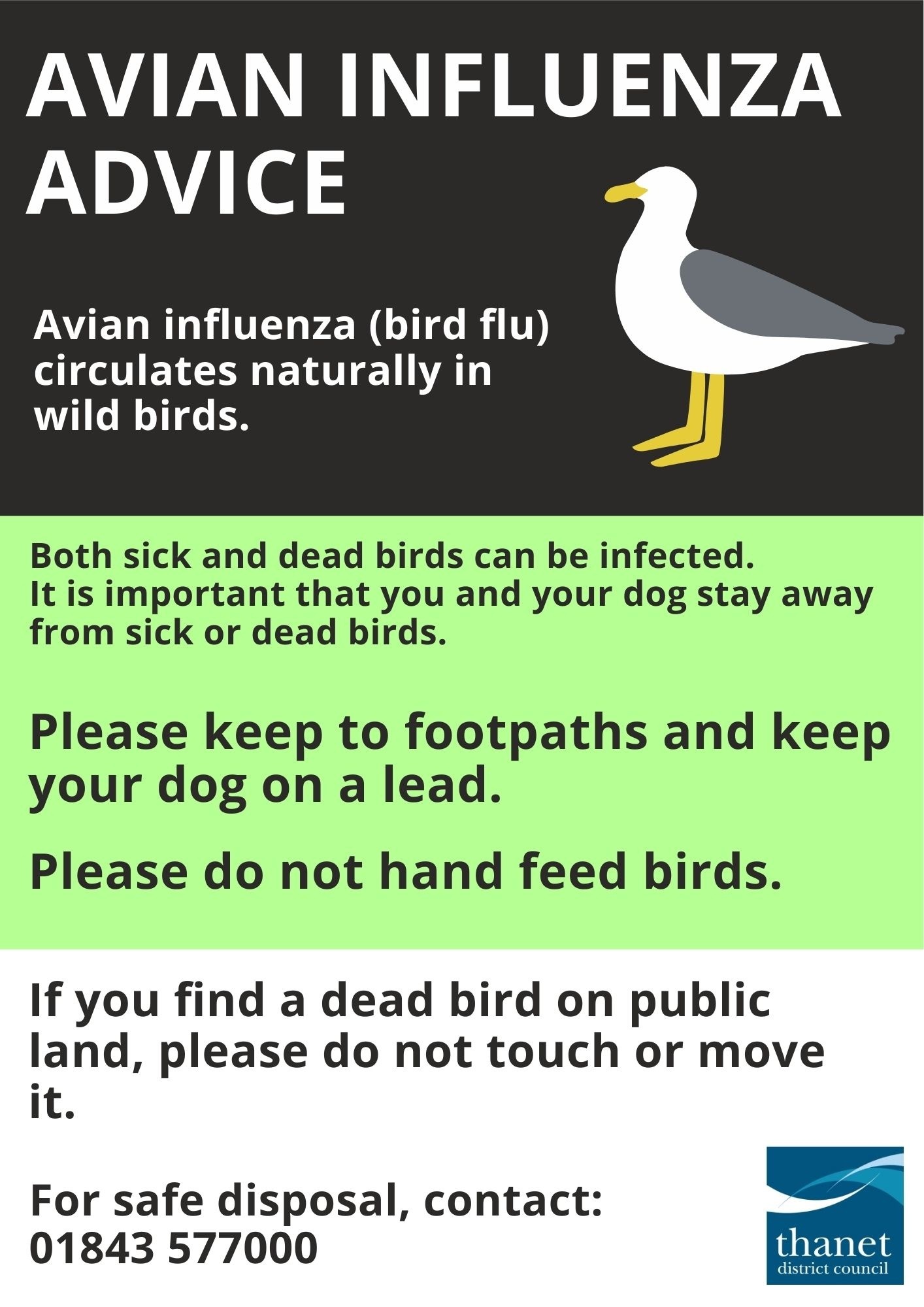 Can A Dog Get Sick From A Bird