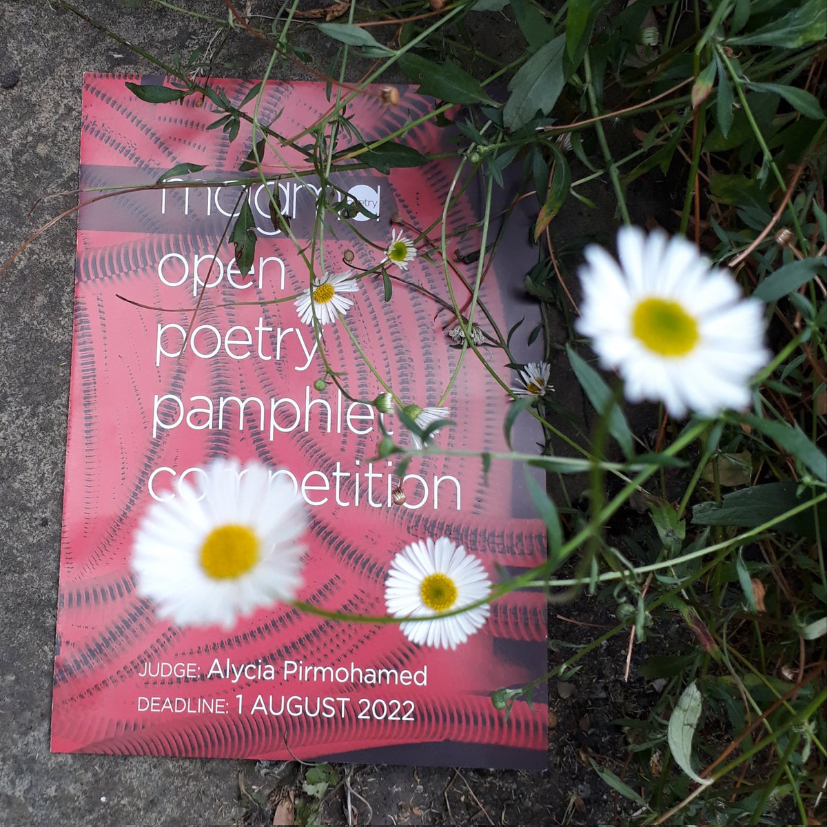 The Blank Page and White Space in Poetry - Magma Poetry