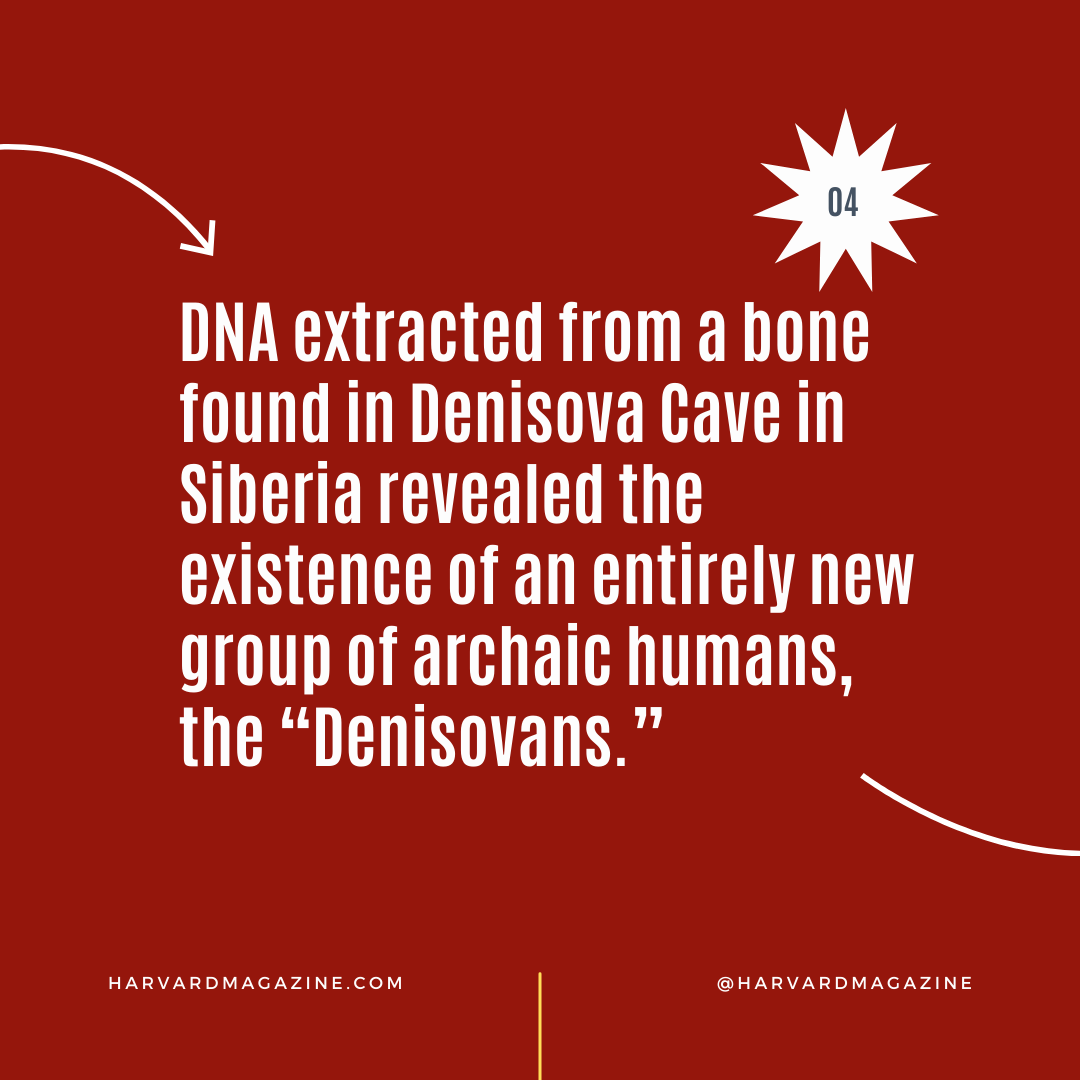 Harvard Magazine on Twitter: "4 Surprising Discoveries from Ancient DNA ...