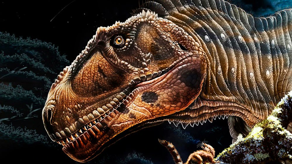 The Meraxes gigas is estimated to have been 11 meters long and weighed ...