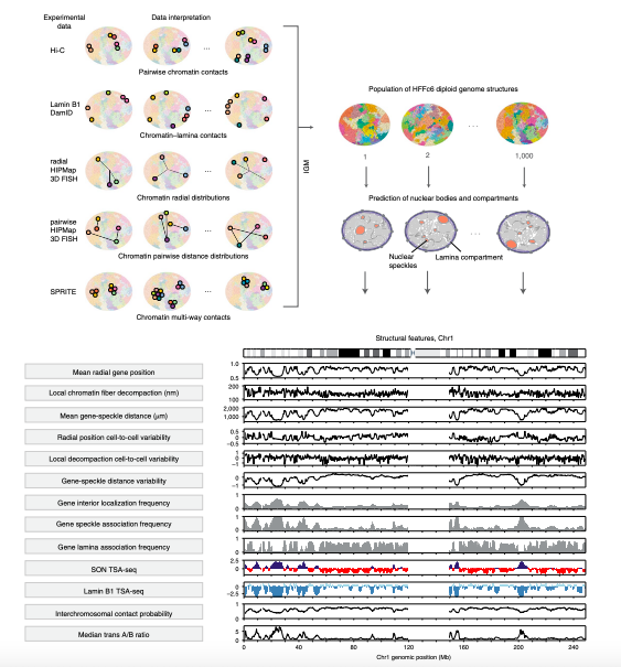 Nature Methods on Twitter: "The Integrative Genome Modeling (IGM) platform is a tool for ...