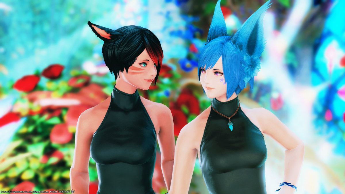 siesta_studio | StudioXIV