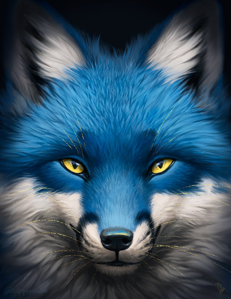 Kippy 🦊☕️ on Twitter: "Hey, I'm Kippy! I draw animals and anthros full time. 🦊🐰🌱 Commissions ...