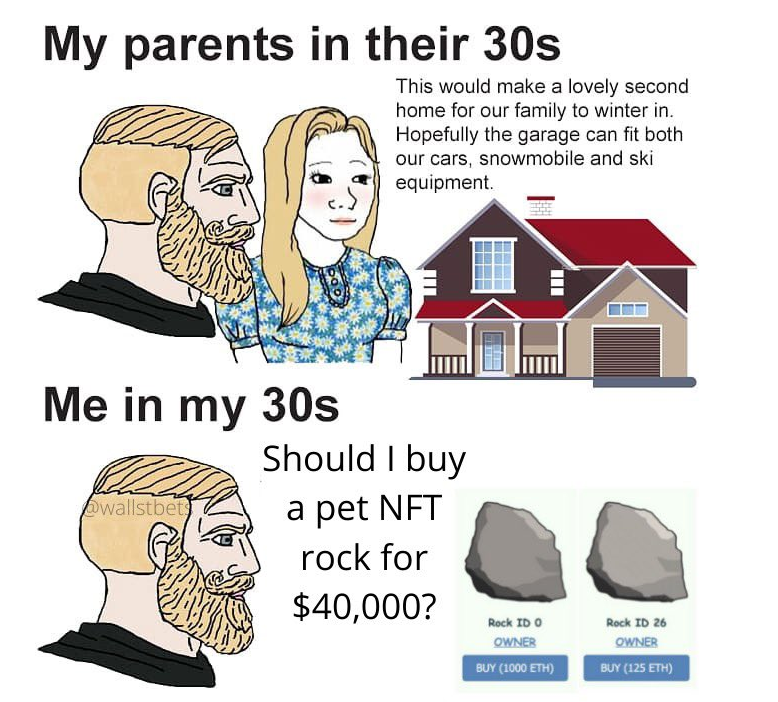 Pet Rock Memes Elmo's Decades Long Beef With Zoe's Pet Rock Goes Viral