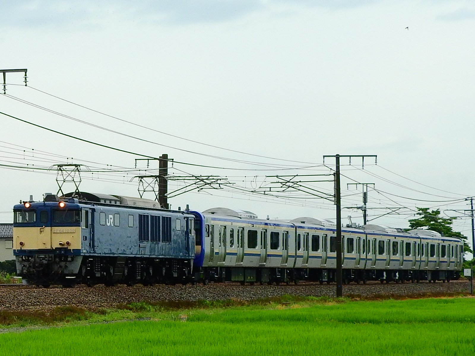 たてやまちとせ on Twitter: "2022/7/12 信越本線東光寺〜帯織にて EF64 1030+E235系J16編成 配給 個人的には先月の雪辱が晴らせたので良かったですV ...