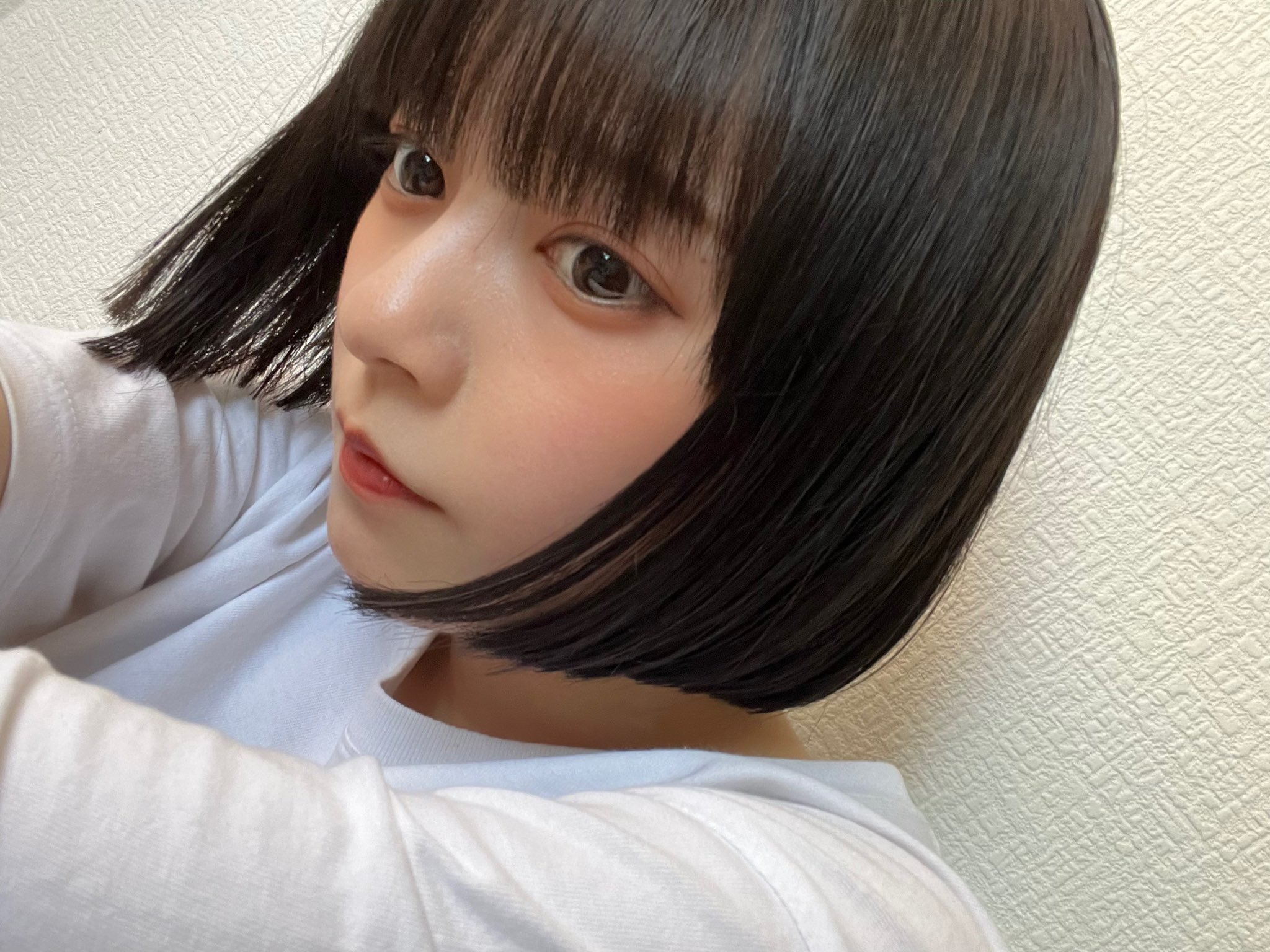 吸血鬼ふうた on Twitter: "@bozu_108 チッチチチーチーチー(cccccc) https://t.co/9b2YXtp8yp" / Twitter