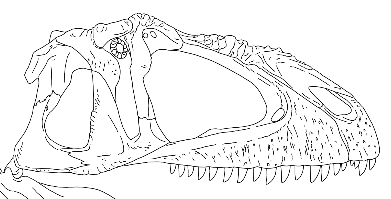 Dan Folkes on Twitter: "BTW: https://t.co/jmzGOBhIxs" / Twitter