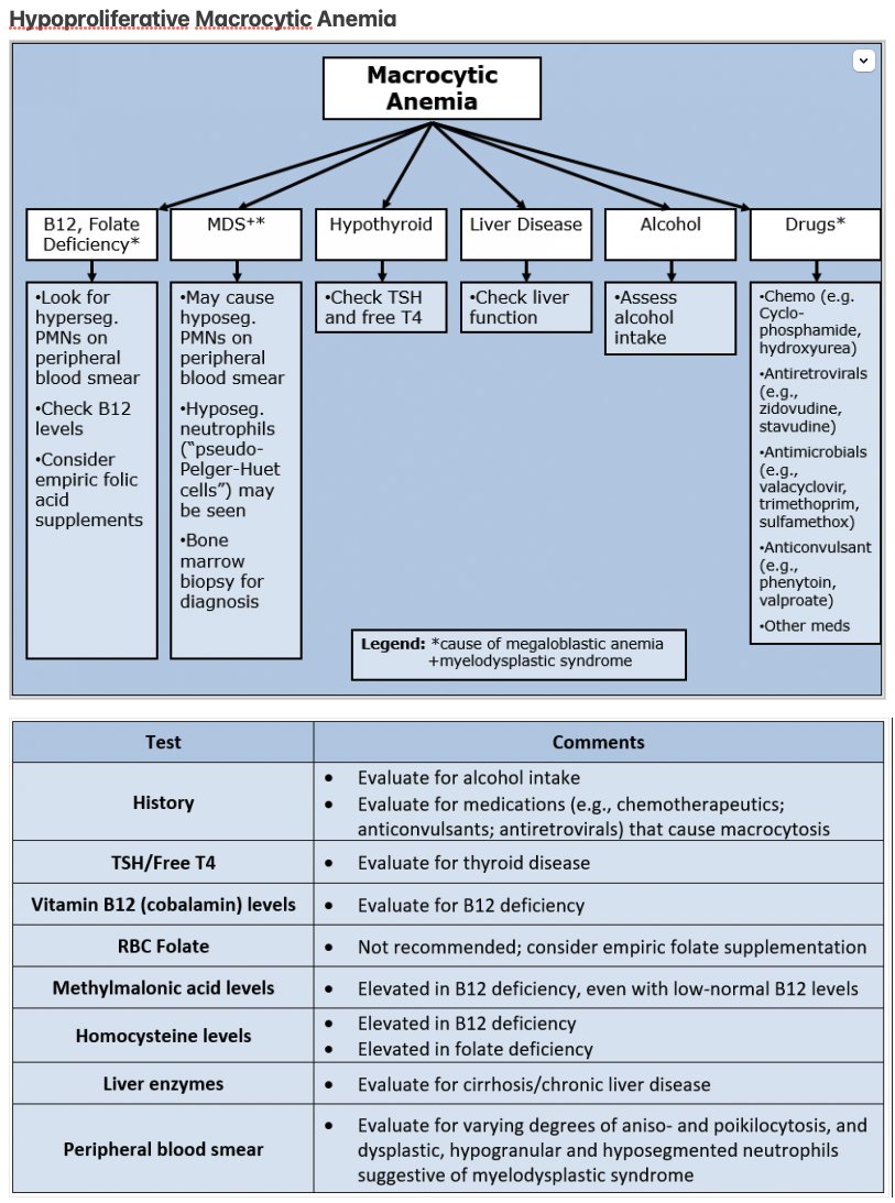 Thread By @MatthewHoMD - This thread explains macrocytosis,...