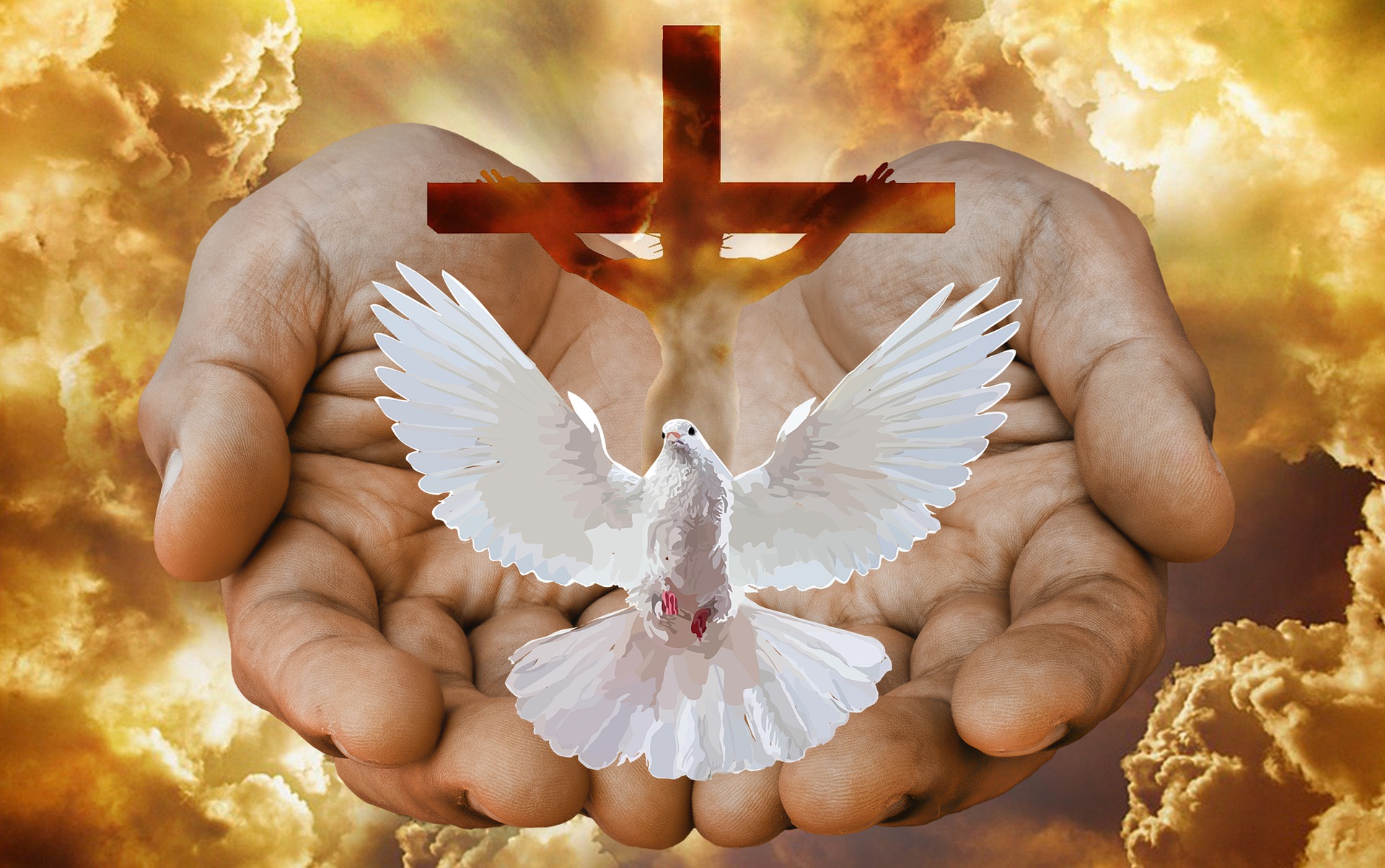 Home - Reachout Trust