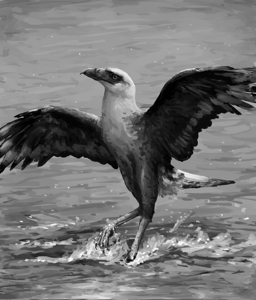 Eumaniraptora art 🎨 (@Paleoraptor_) さんのイラスト・マンガ作品まとめ (112 件) - Twoucan