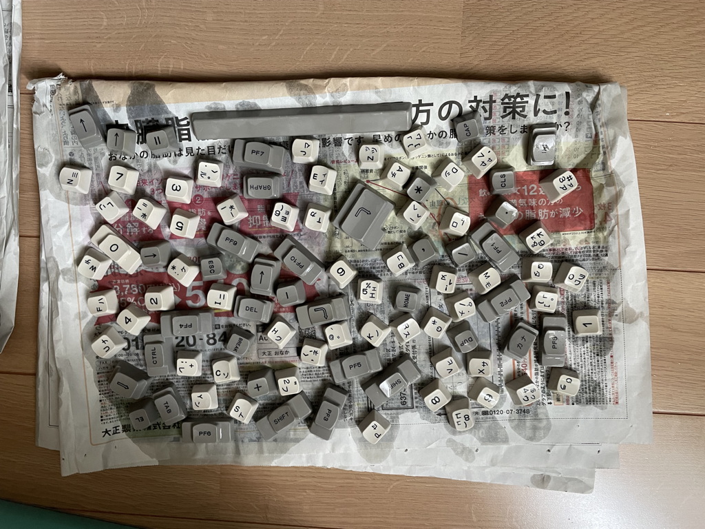 もあ (@morecat_lab) / Twitter