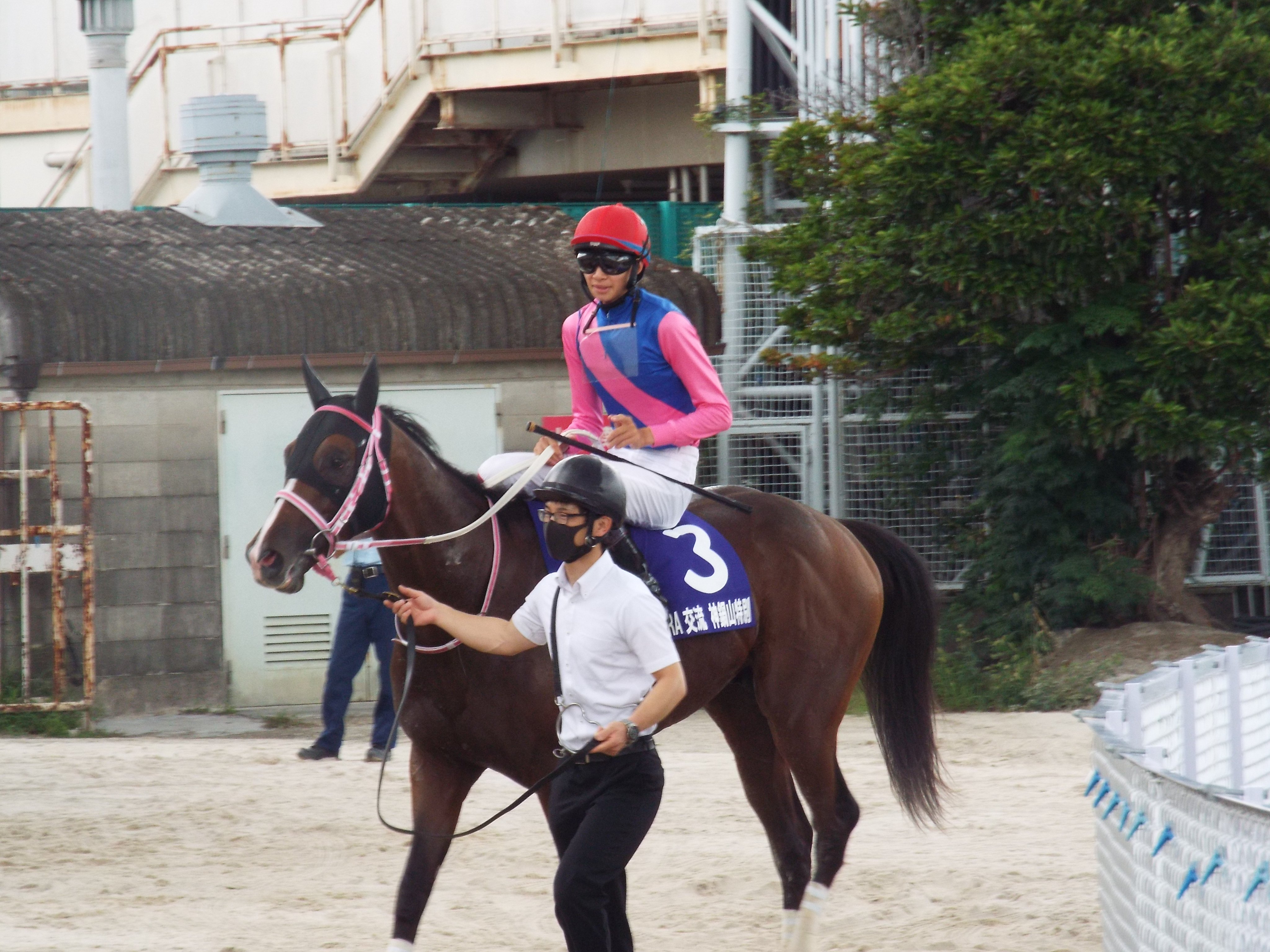 そのだメール☆ひめじメール on Twitter: "10R「JRA交流 神鍋山特別」はJRA所属馬メイショウアポイ号（牡3・松下武士きゅう舎 松本大輝騎手）は、好スタートで先頭にたつとその ...