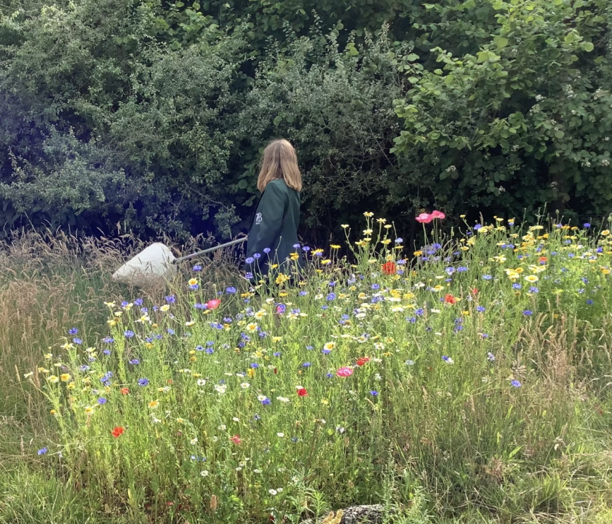 Home - Bohunt School Liphook