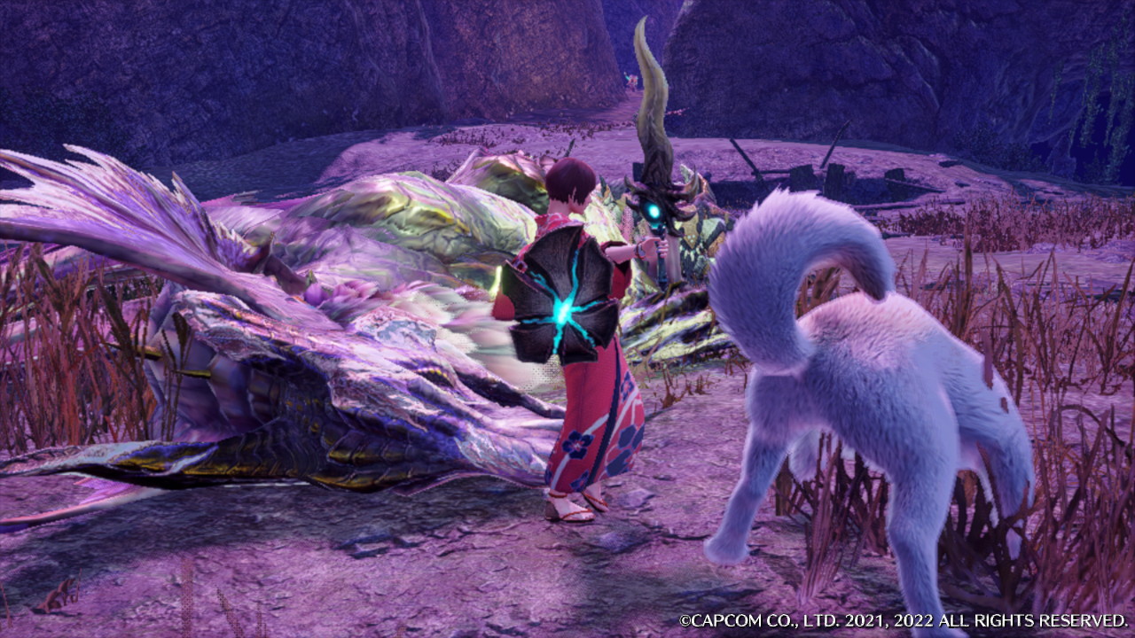 いながわ on Twitter: "#モンハンライズ #MHRise #モンハン #NintendoSwitch https://t.co/ohBur5hi9Q" / Twitter