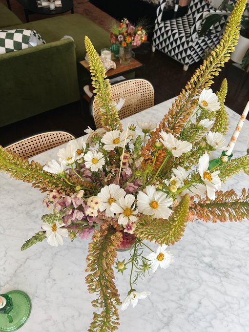 TW Pornstars - Vivienne Cole. Pictures and videos from Twitter.