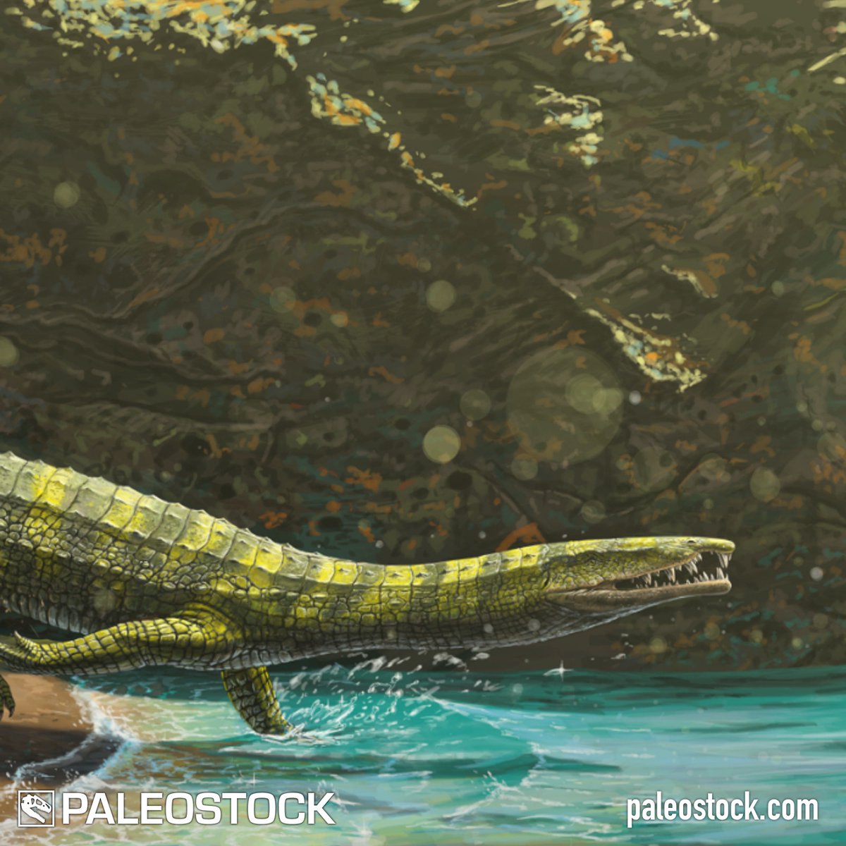 Paleostock (@GetPaleostock) さんのイラスト・マンガ作品まとめ (112 件) - Twoucan