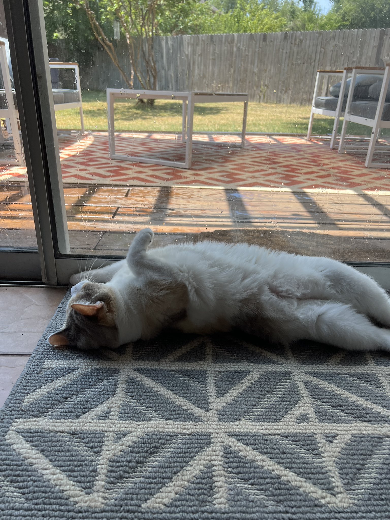 benchwarmer🎊 lmk spoilers (@gummyroni) / Twitter