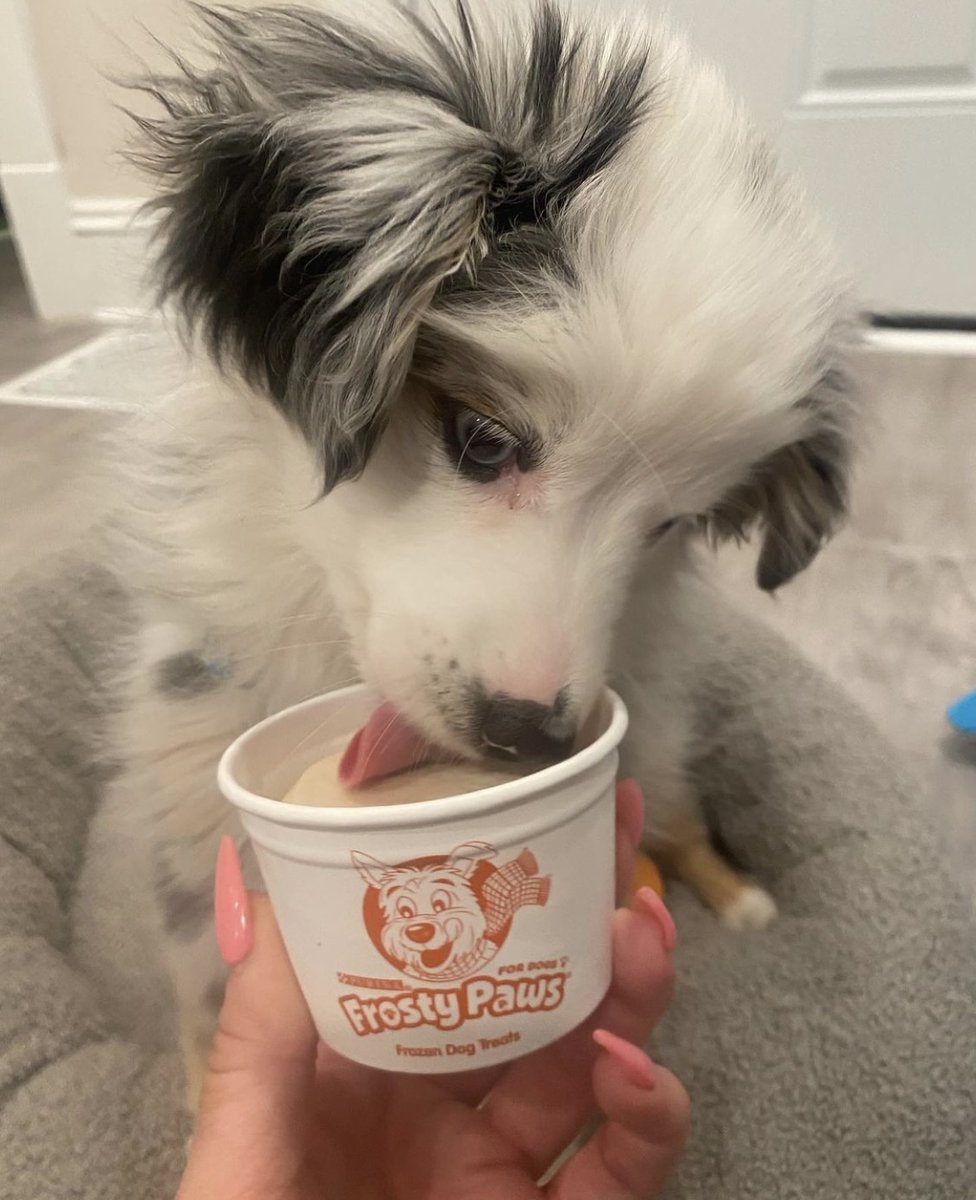 Are Frosty Paws Ok For Dogs