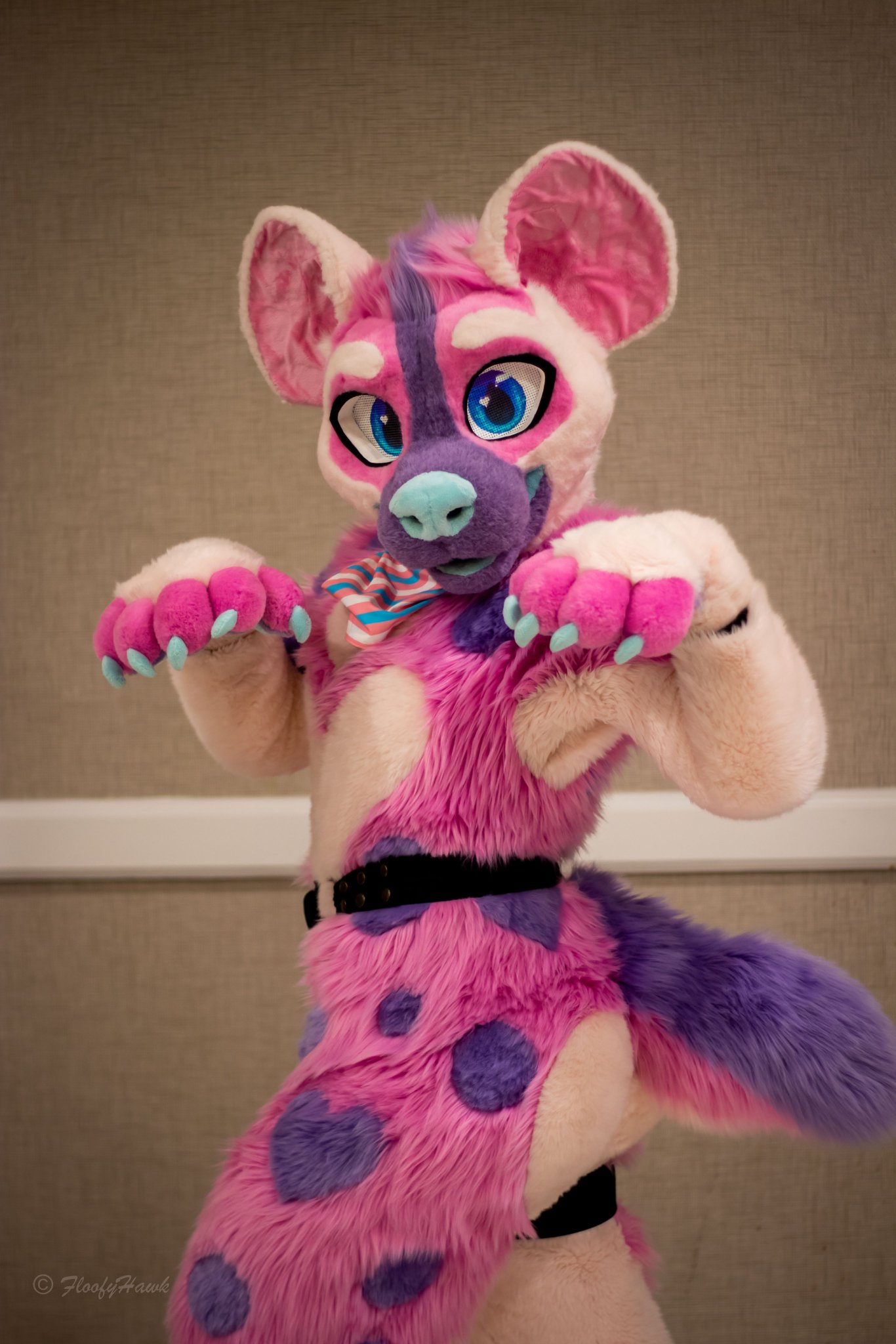 Kitsu Galaxy has PCD on Twitter: "RT @FloofyHawk: These cuties love to pose for the camera https ...