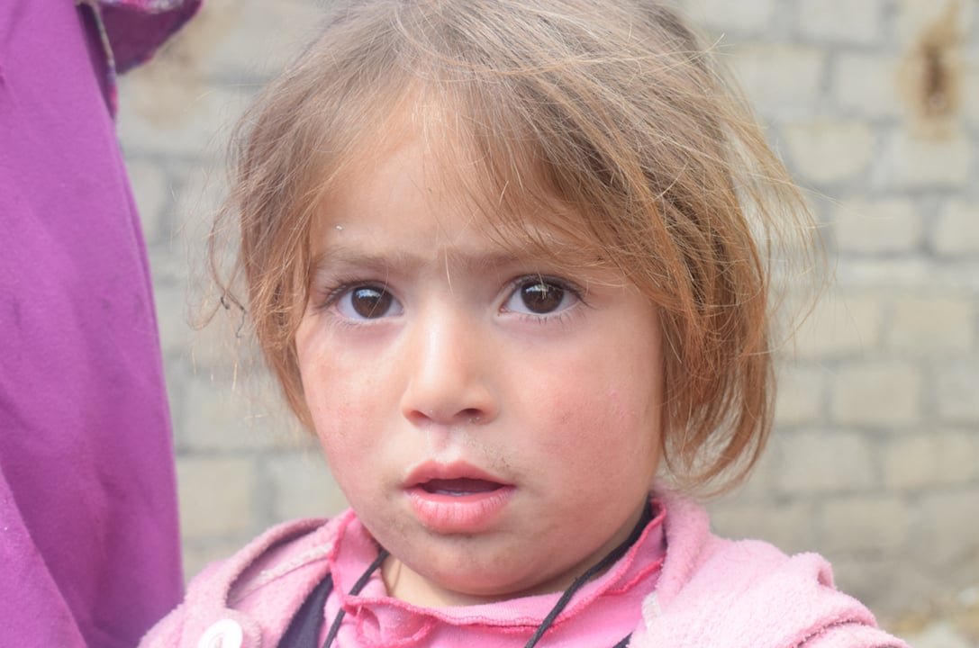 Genetic distances from the Kohistani people of Northern Pakistan. The ...