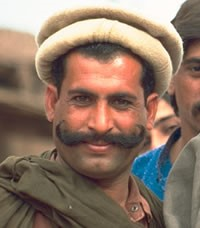 Genetic distances from the Kohistani people of Northern Pakistan. The ...