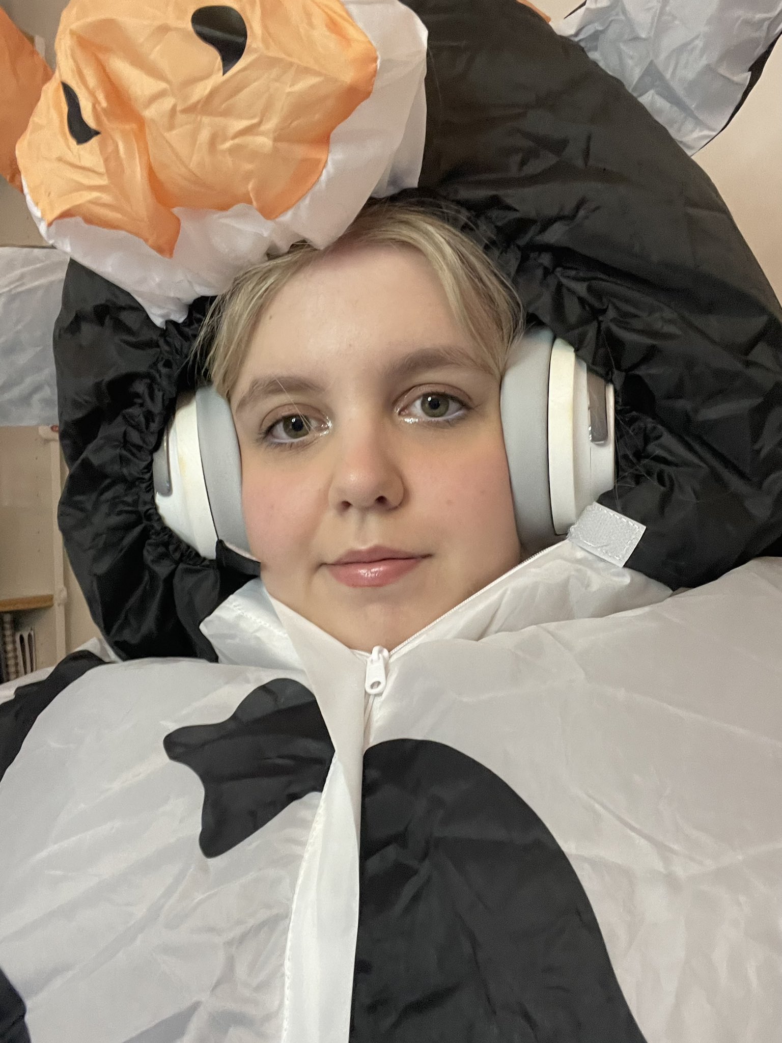 Hoxie On Twitter The Things I Do For My Stream 🐮 Qevj9xjvlf Twitter