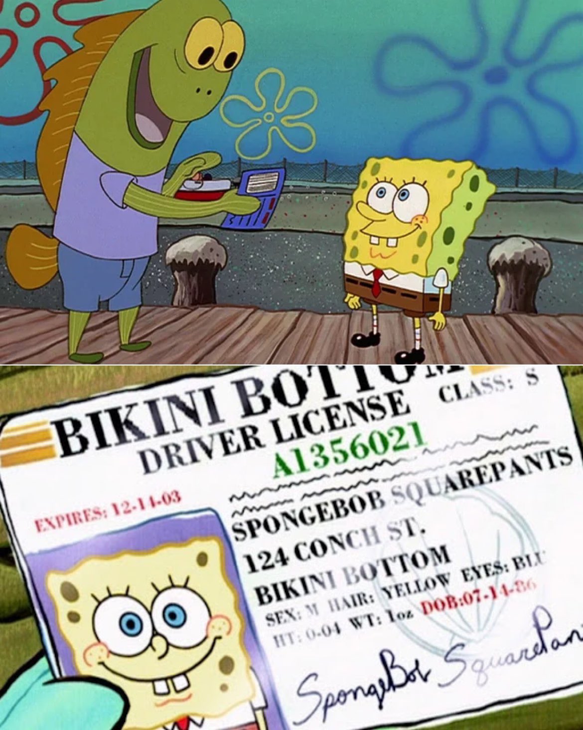 Classic Spongebob Squarepants Quotes