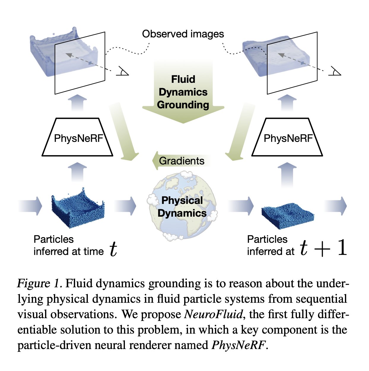Neural Fields On Twitter Neurofluid Fluid Dynamics Grounding With Particle Driven Neural